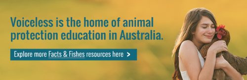 Facts and Fishes: Focus Area 3 Science, Yr 7 - Voiceless