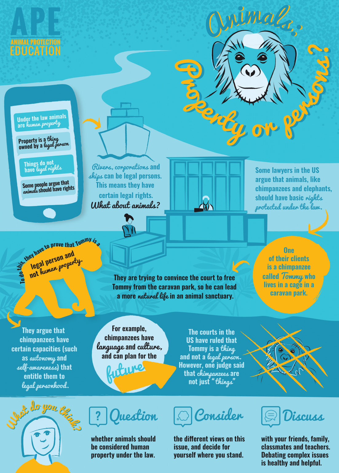 Legal Personhood Infographic | Voiceless