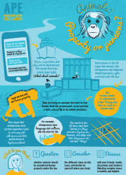 Legal Personhood Infographic | Voiceless