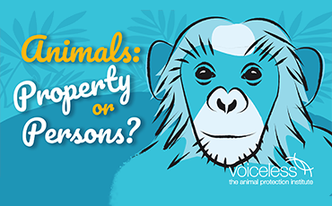 Animals: Property or Persons? - Voiceless