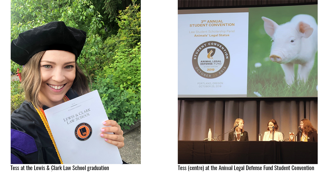 In Conversation with Tess Vickery, Policy Advisor to The Hon Emma Hurst ...