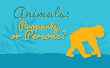 Legal Personhood Infographic - Voiceless